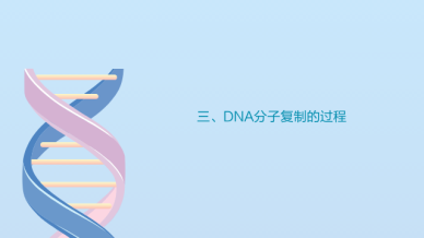 DNA的复制_火花学院
